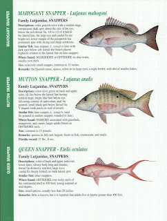 Crystal River Fishing Report: Florida Gulf Fish Identification Charts