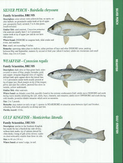 Crystal River Fishing Report: Florida Gulf Fish Identification Charts