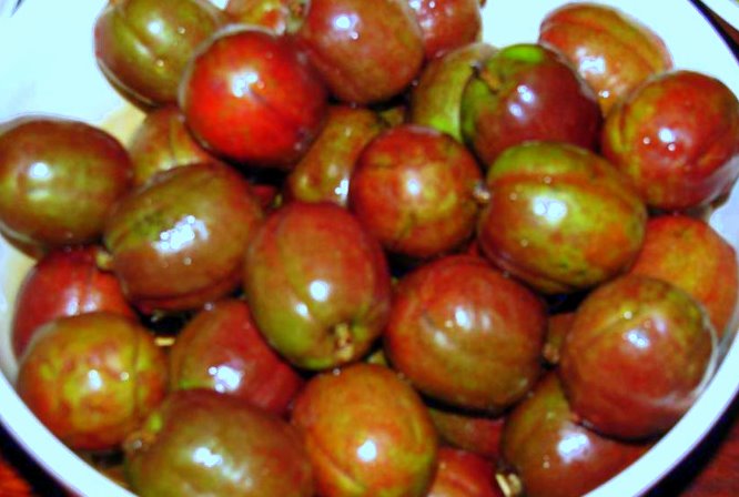 Fruits Stand: Siniguelas or Spanish Plum
