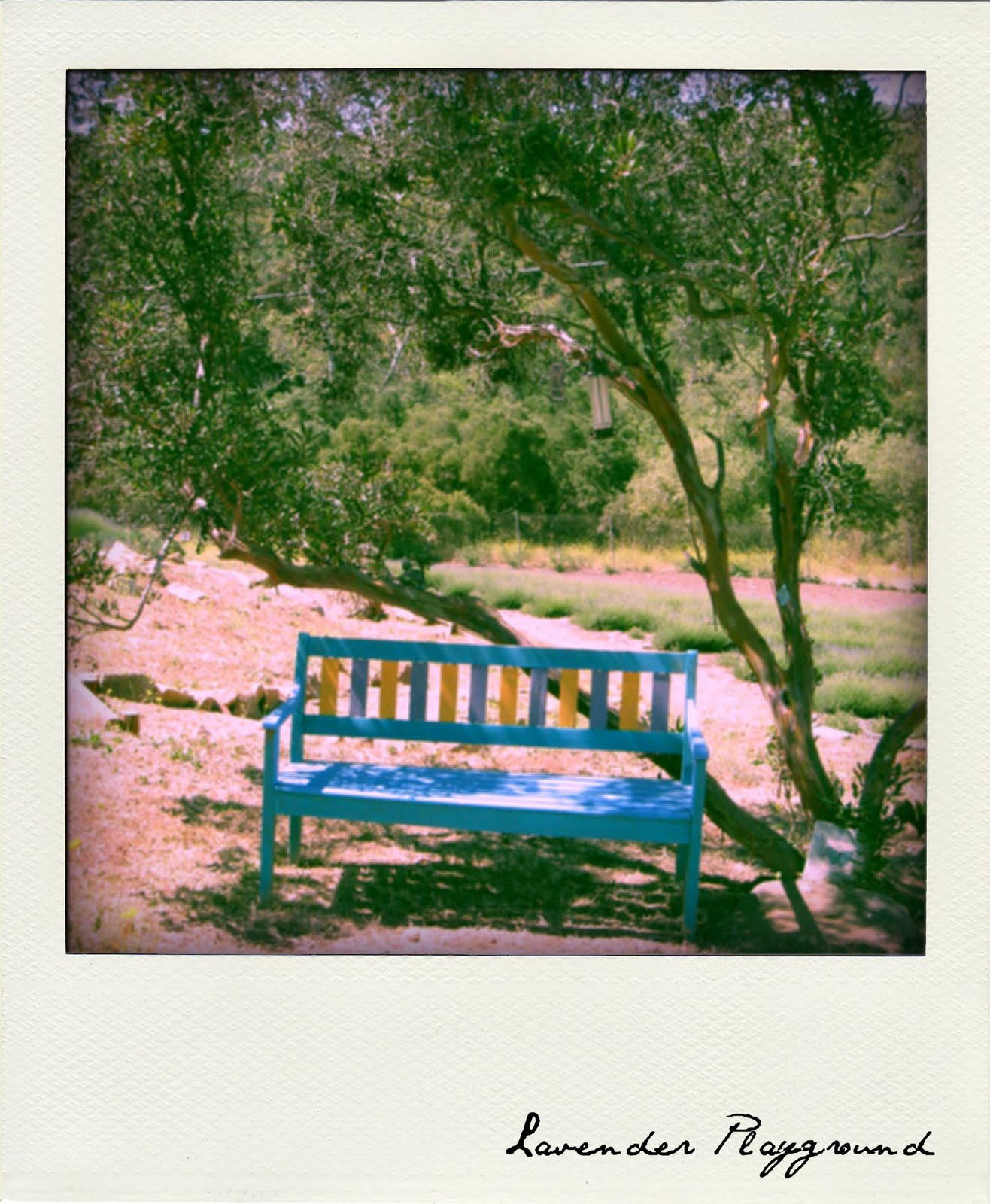 Lavender Playground: June 2010