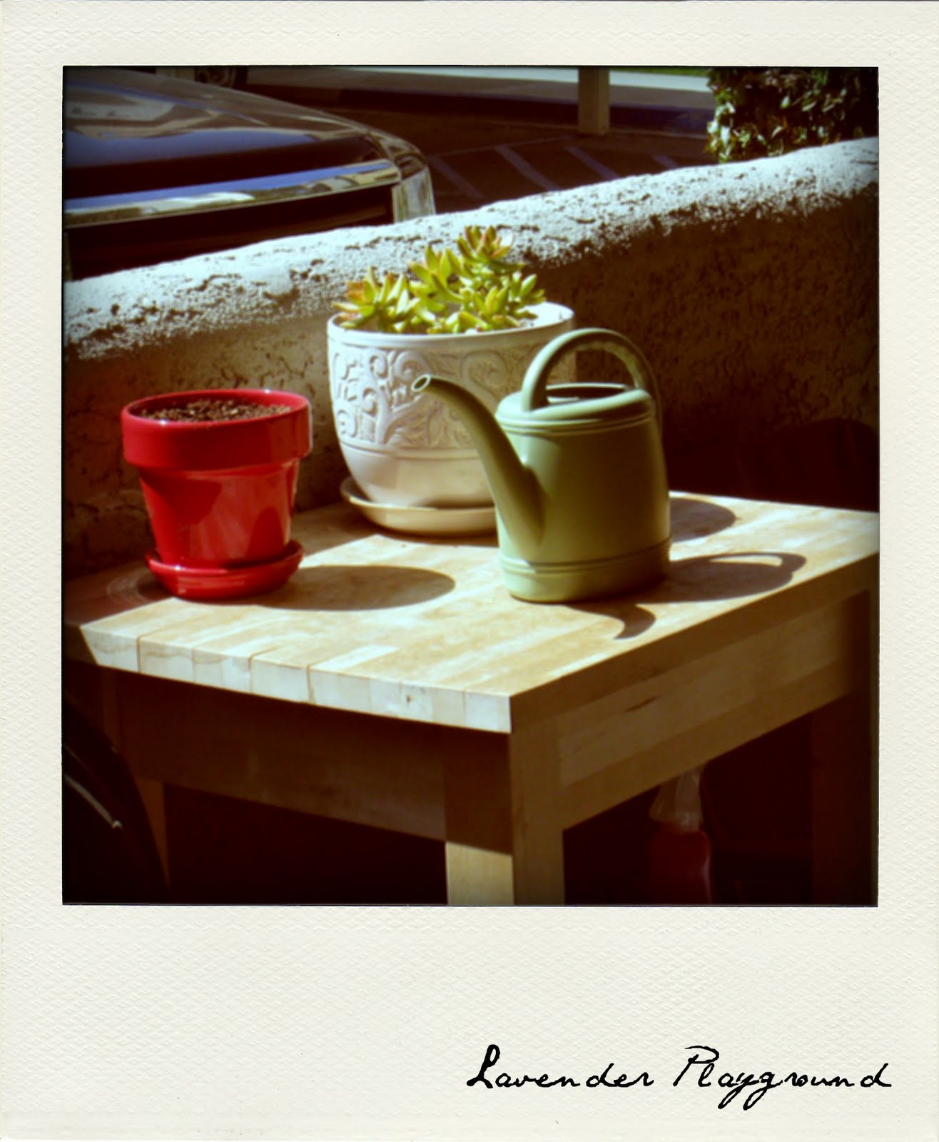 Lavender Playground: July 2010