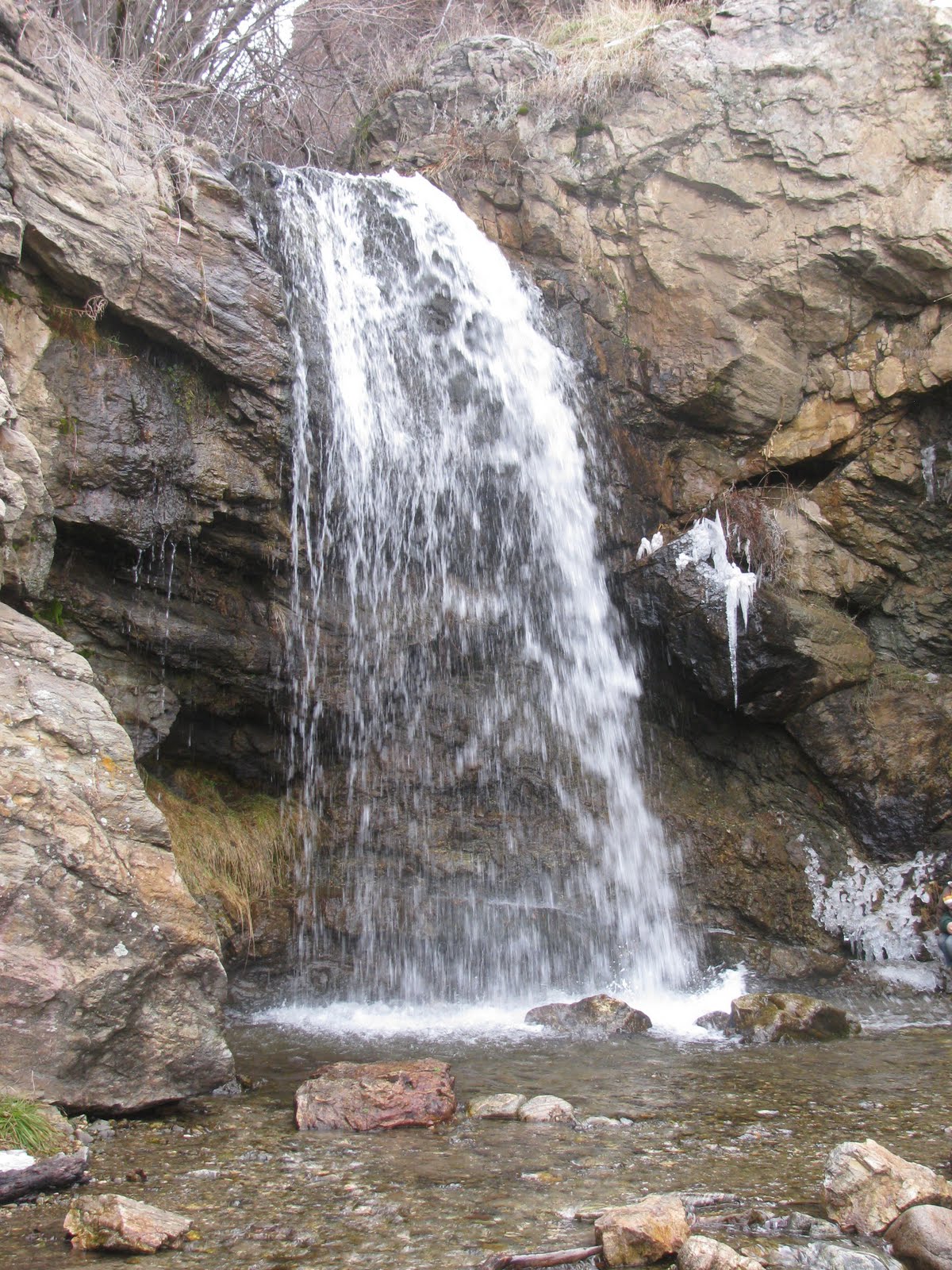 Backyard Excursions: Adams Canyon Lower Waterfall