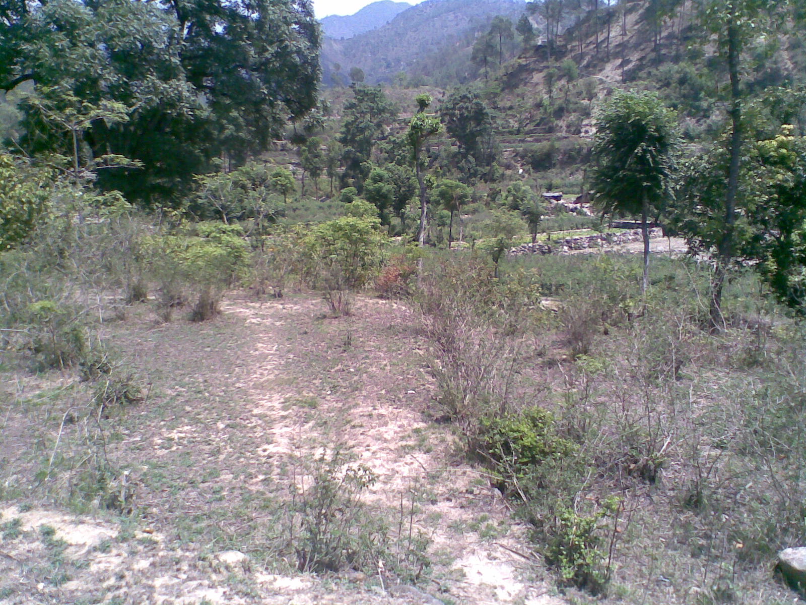 Pauri Garhwal Online - Pauri Garhwal, Garhwal Region , Uttarakhand ...