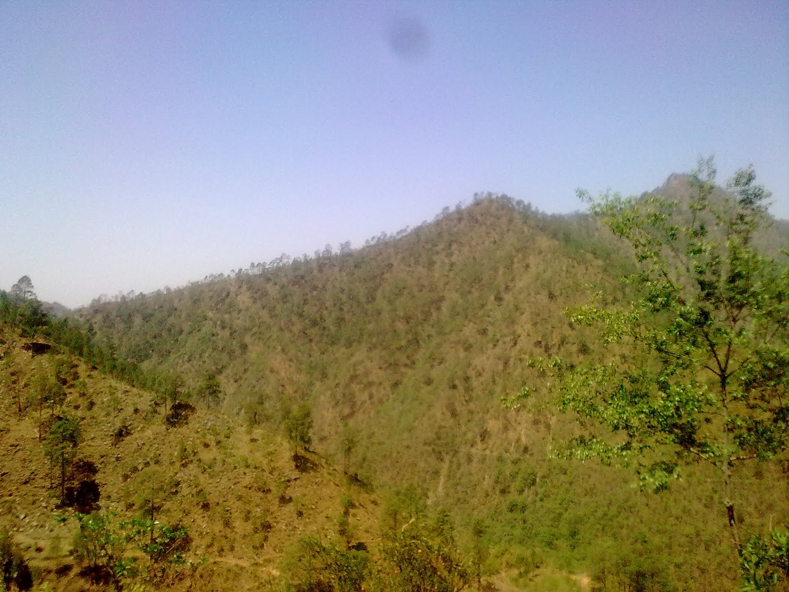 Pauri Garhwal Online - Pauri Garhwal, Garhwal Region , Uttarakhand ...