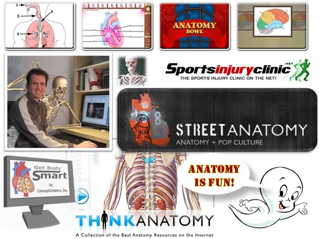 ZaidLearn: A Sizzling Collection of Anatomy Games & Resources!