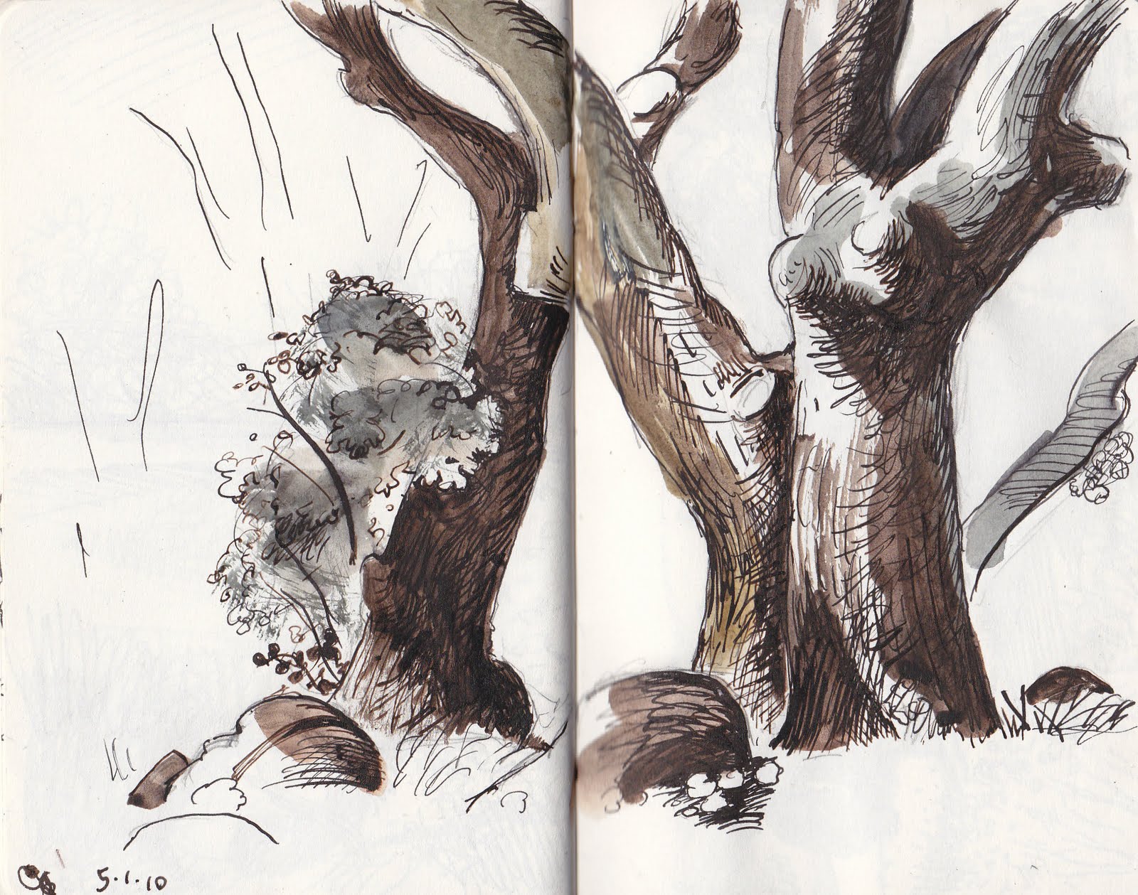 Palette and Easel: Sketchbook Trees