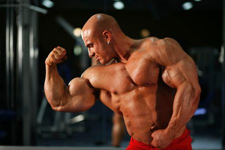 world bodybuilders pictures: world amatuer powerful muscles bodybuilder ...