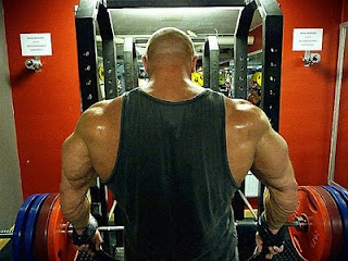 world bodybuilders pictures: lars ostling in swedish gym
