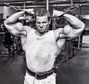 world bodybuilders pictures: seth feroce bodybuilder apply force on gym ...