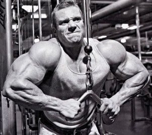 world bodybuilders pictures: seth feroce bodybuilder apply force on gym ...