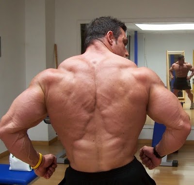 world bodybuilders pictures: new photos of spainy bodybuilder marcos chacon