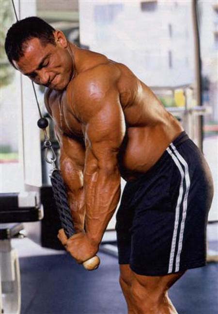 world bodybuilders pictures: handsome bodybuilder mike ergas during gym ...