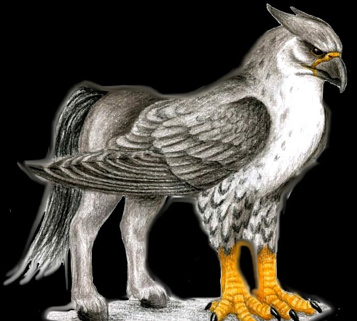 Mistérios Fantásticos: Hipogrifos