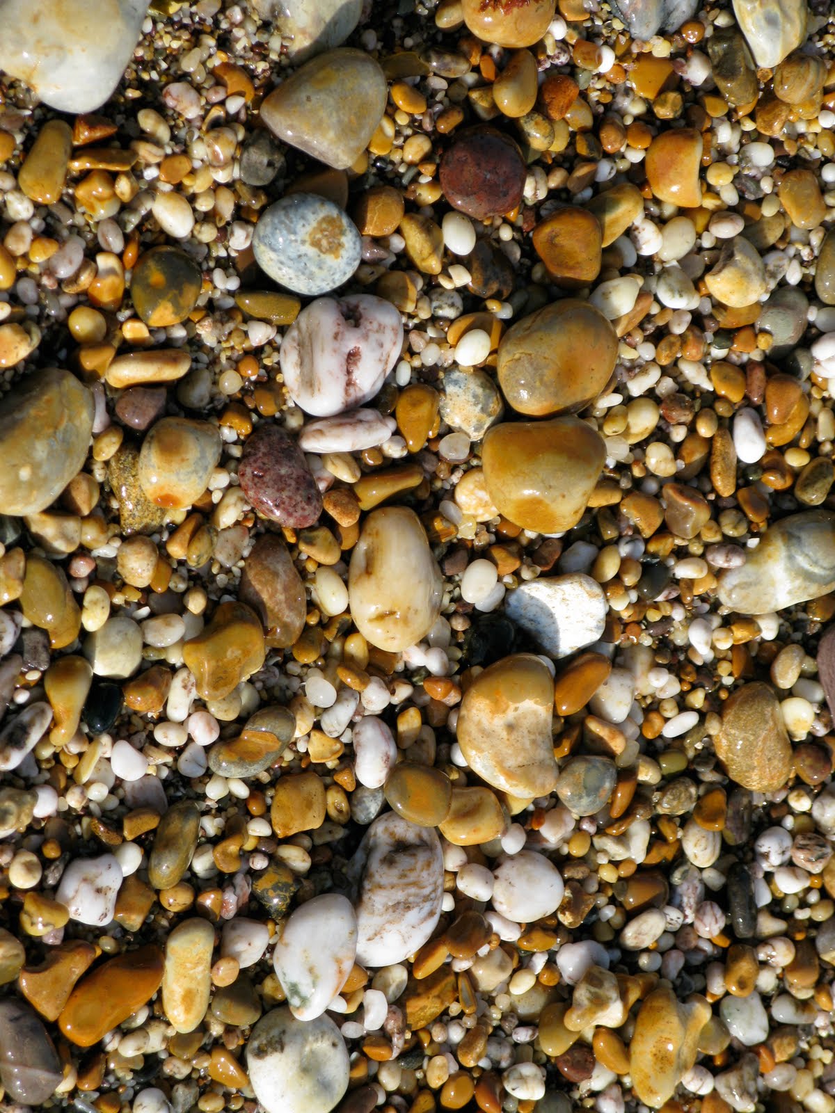 Alicia Merrett: April 2010