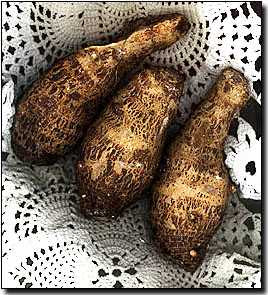 Mang Doming's Farm: Taro or Gabi