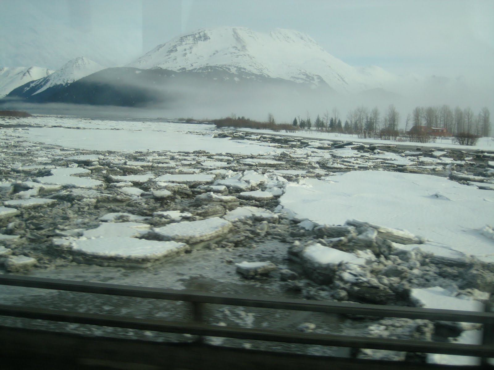 The Last Frontier aka North Pole, Alaska: Kenai Peninsula, Easter, Baby ...