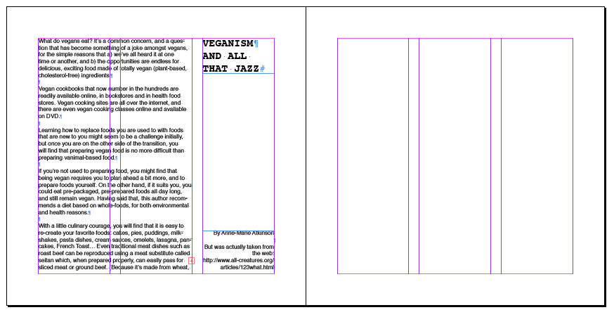 design practice: Zine - initial indesign double page spreads