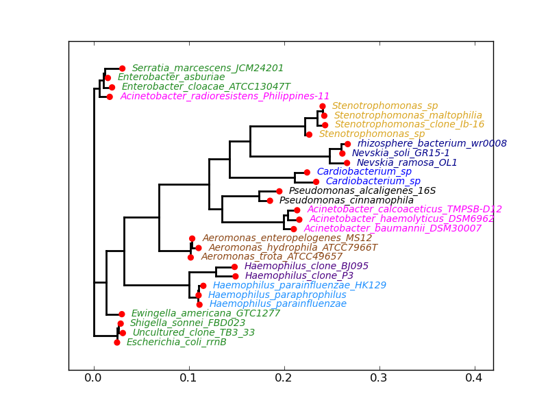 Python for Bioinformatics: New plotter for phylogenetic trees: version 0.1
