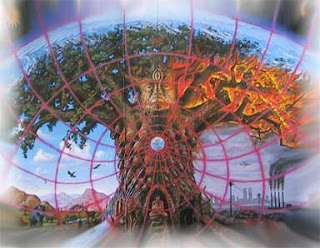 : Galería: Alex Gray