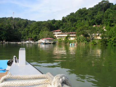 conocepanama: Hermosa Isla de Barro Colorado