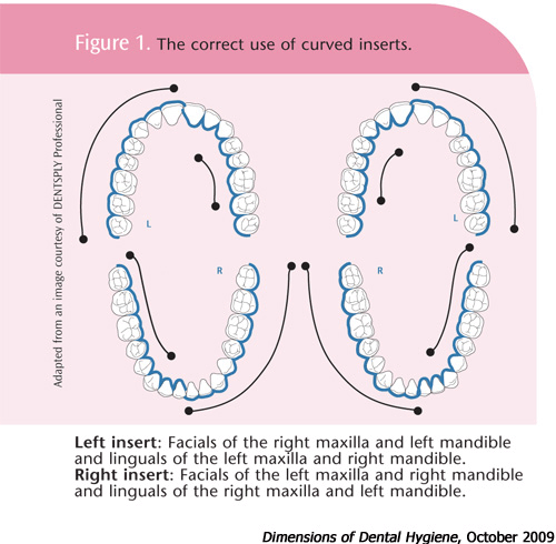 The C3 Dental Therapist and Hygienist Family