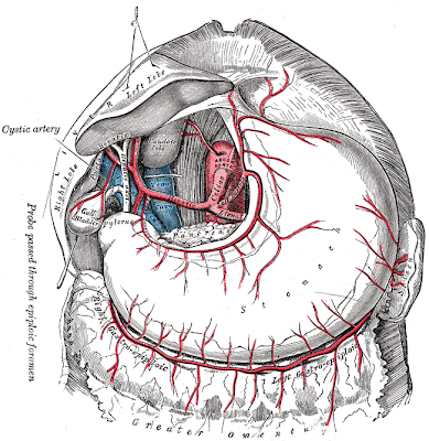 Oral Boards Review: Supraceliac control of aorta