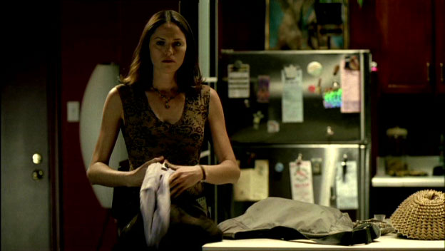 C.S.I Las Vegas Brasil: Biografia Sara Sidle!