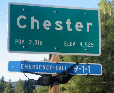 OLGA, THE TRAVELING BRA: CHESTER & LAKE ALMANOR, California