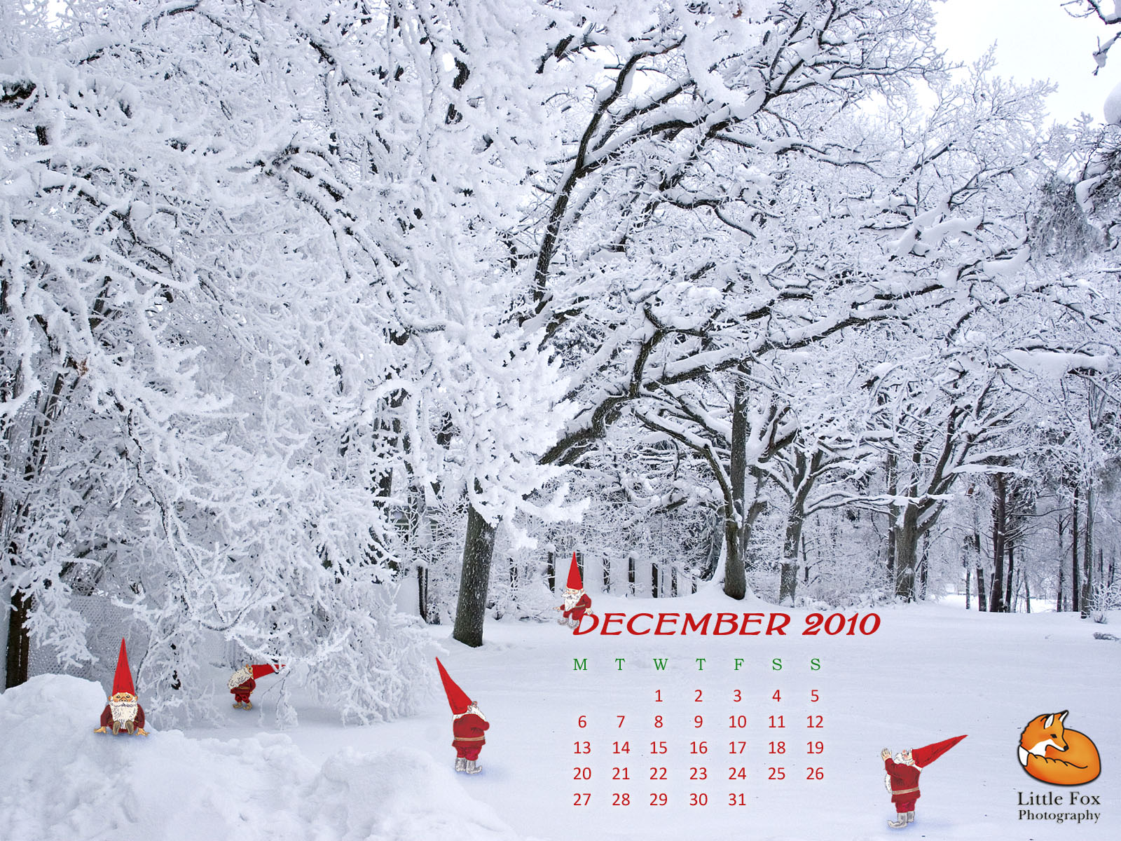Nature and Wildlife Photography blog: Free desktop calendar for ...
