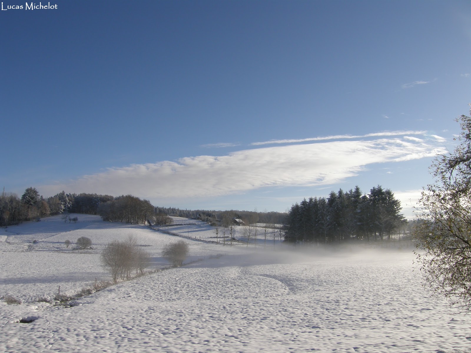 Quelques images de la nature: Il a neigé