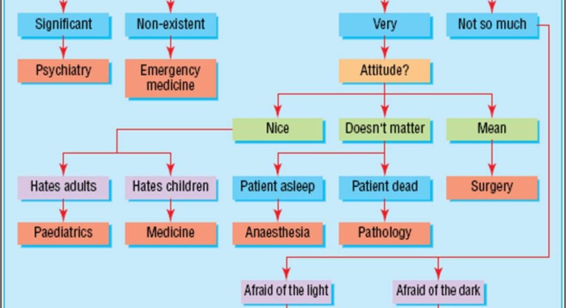 Nicole's Adventure!: How To Determine Your Medical Speciality? Flow Chart!