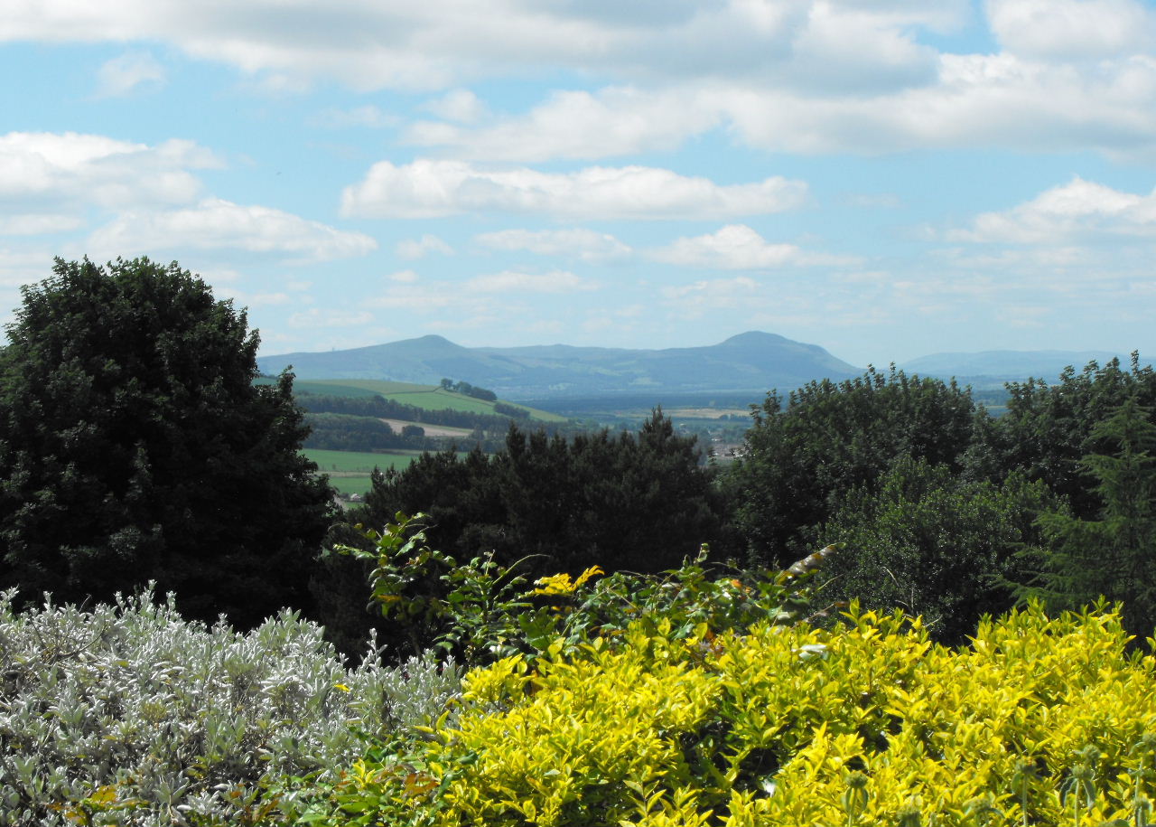 Largo Baywatch: Blebo Craigs Village Gardens