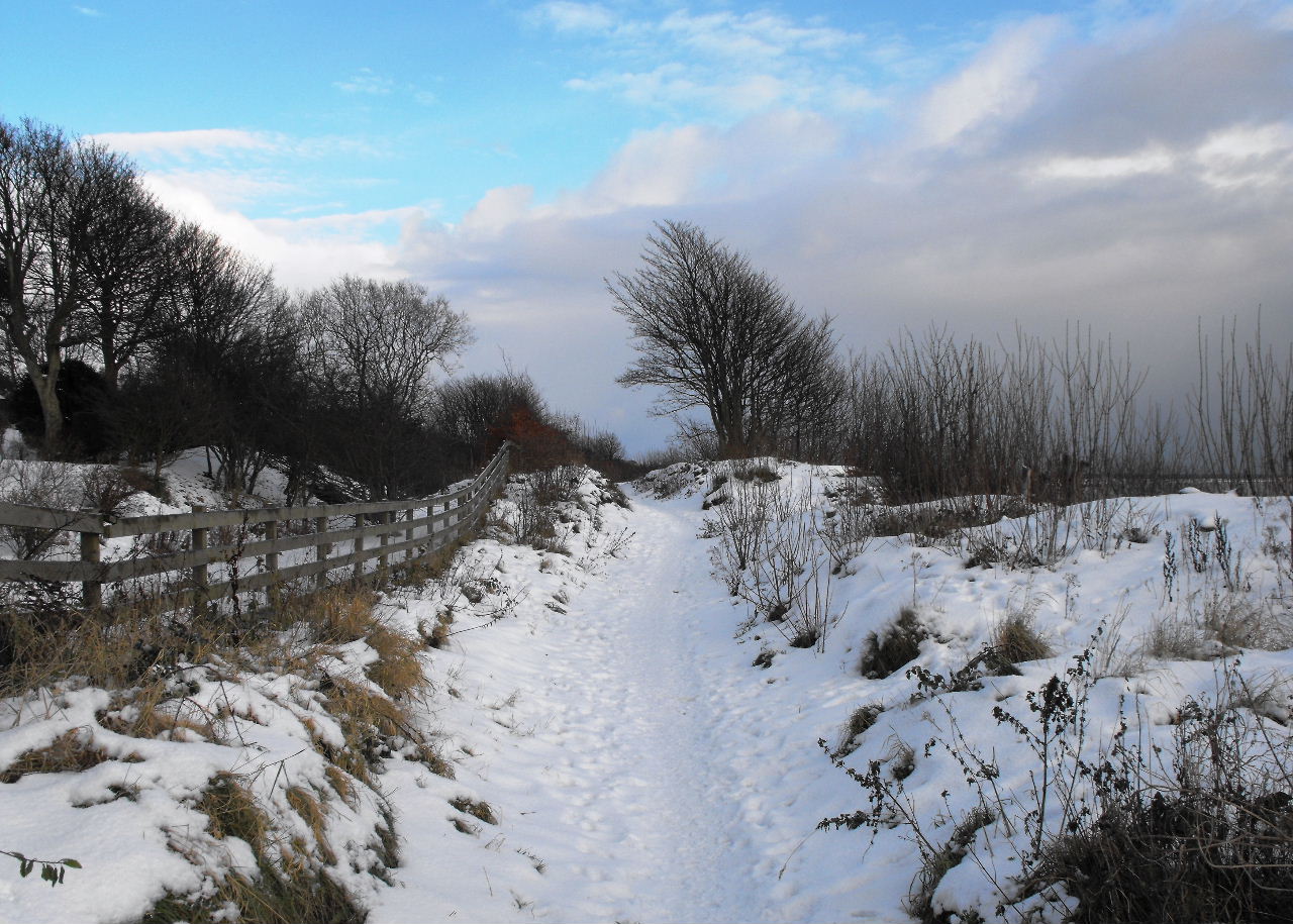 Largo Baywatch: More Snow