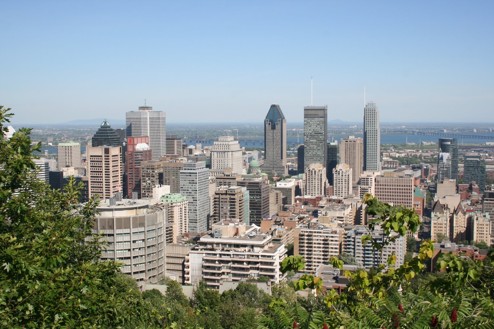 Mon stage à Montréal: Point de vue sur le centre-ville