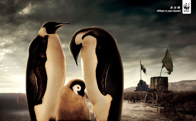 20 Awesome ads campaign from WWF ~ Weird and wonderful news library