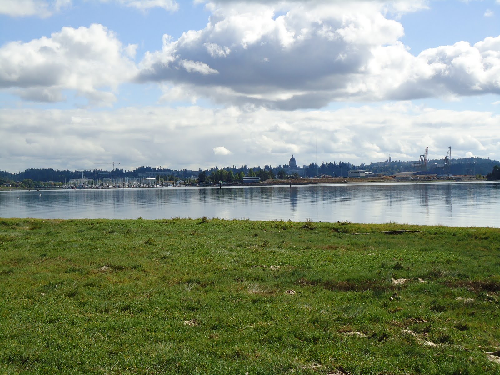Matthew's Washington Trip: Priest Point Park, Olympia