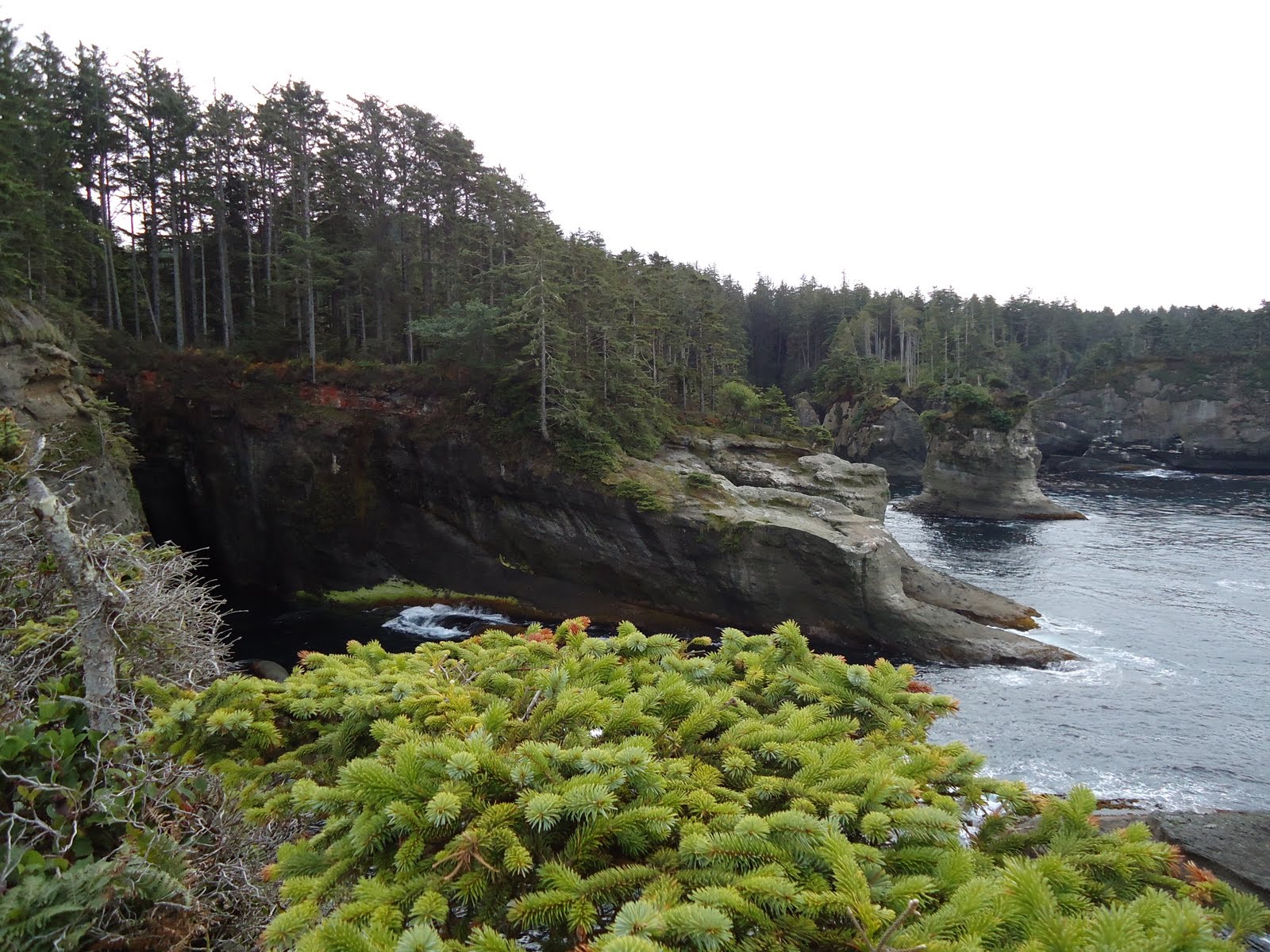 Matthew's Washington Trip: Cape Flattery (Most Northwestern Point in ...