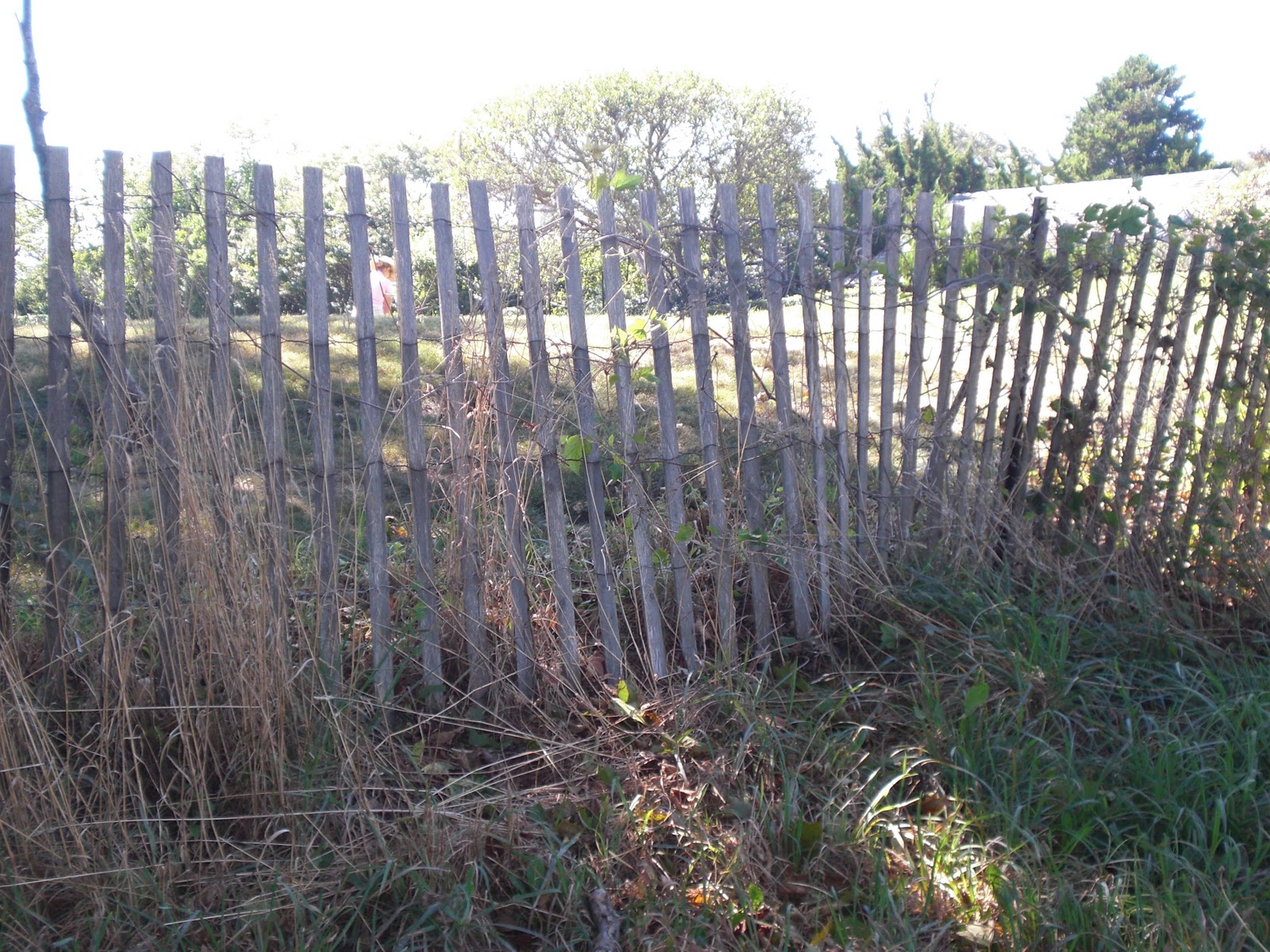 MannerOfStyle: Beach Side Garden Design Quick Tips from Eric Groft