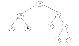 Data Structures and C Programming: Binay Tree