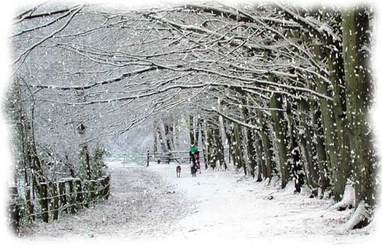 Merry's Musings: Little frozen ice crystal mini chunks on my nose and ...