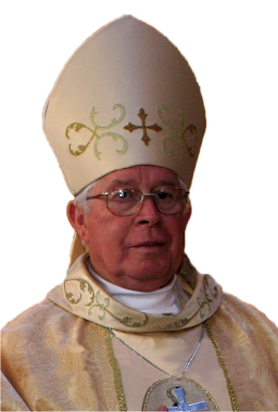 MISIONEROS MARIANOS: PADRE FUNDADOR.