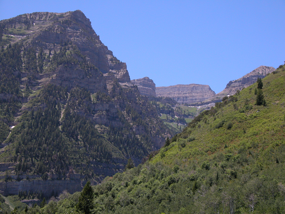 Trails Trekker: The Alpine Loop