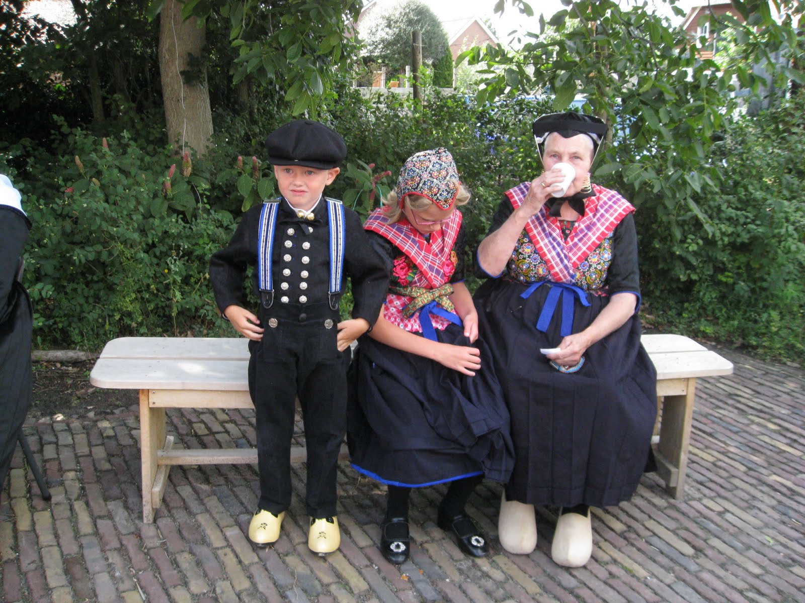 dutch quilt cat: Traditional costume