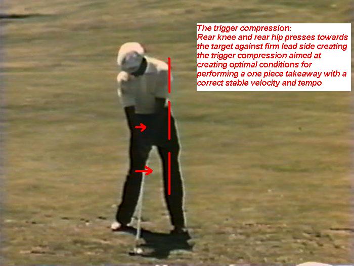 Biokinetic Golf Swing Theory: The Sagittal Plane Compression Concept ...