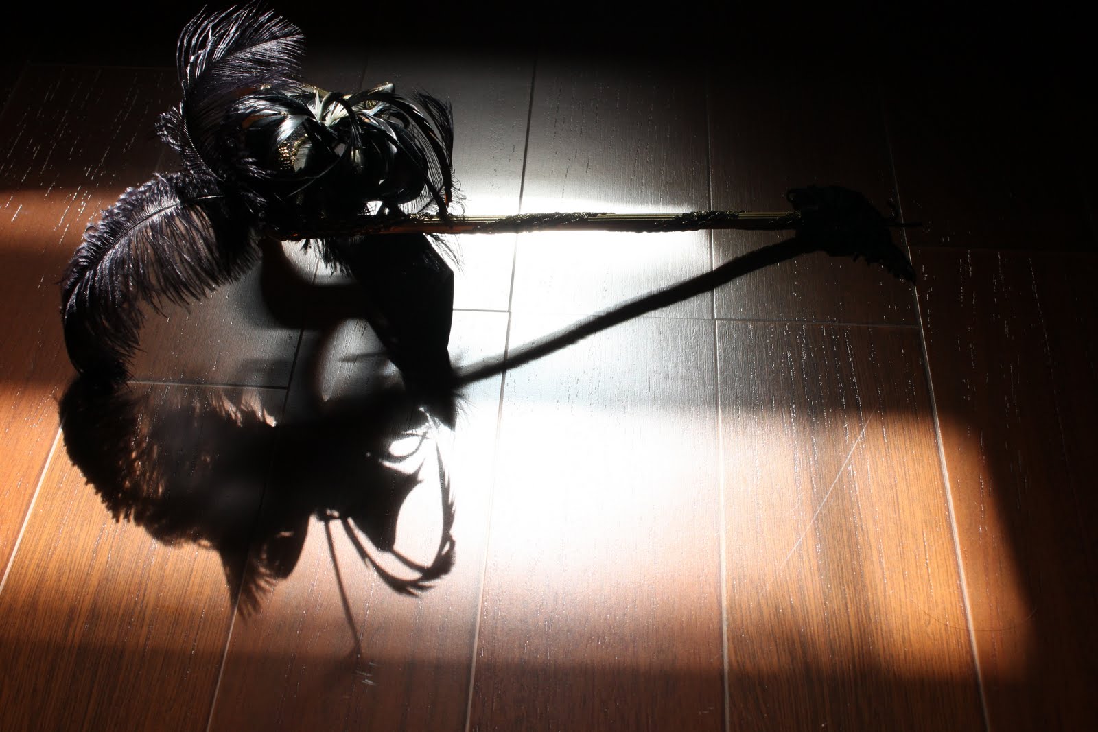 Digital Photography: Still Life (Shadows Lights and Reflections)