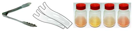 DONBIZZ ONLINE BUSINESS: Pakej Perniagaan Kentang Spring!! Revolusi ...