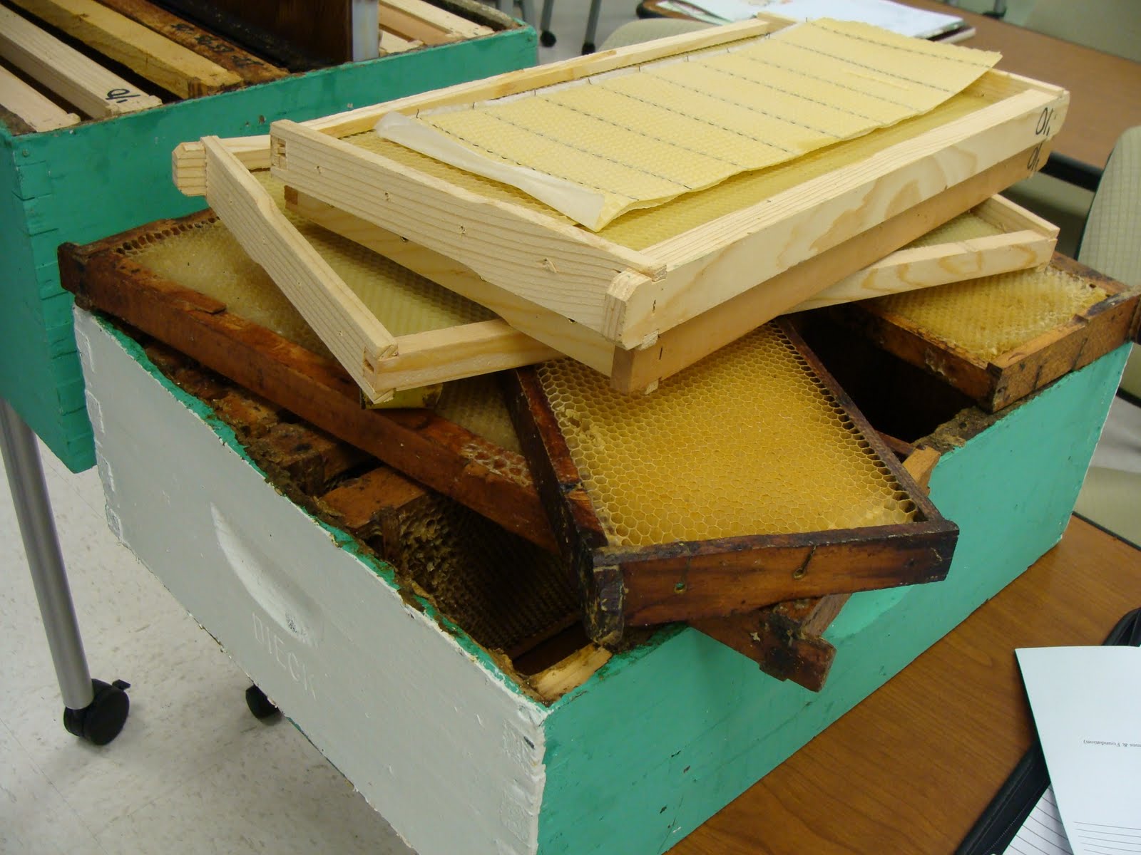 The Martha Initiative: Beekeeping with TMI