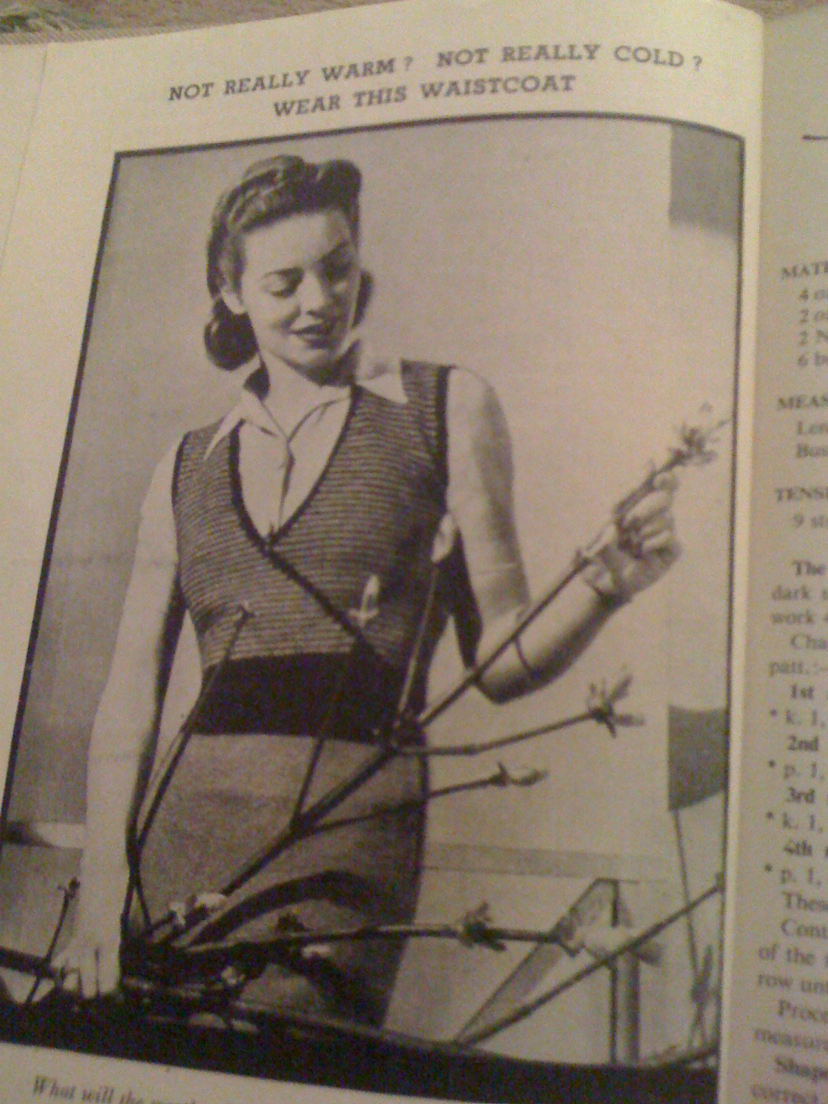 Snoodlebug: Another fabulous Koster and Murray knitting book!