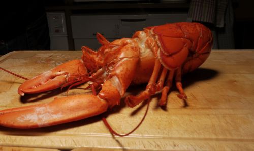 Jane's Sonntagsbraten: Hummer Rezept, Provencalische Art