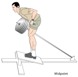 AJIT KUMAR: Back exercises